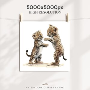 Baby Leopard PNG Clipart | African Safari Animals | Jungle Nursery Wall ...