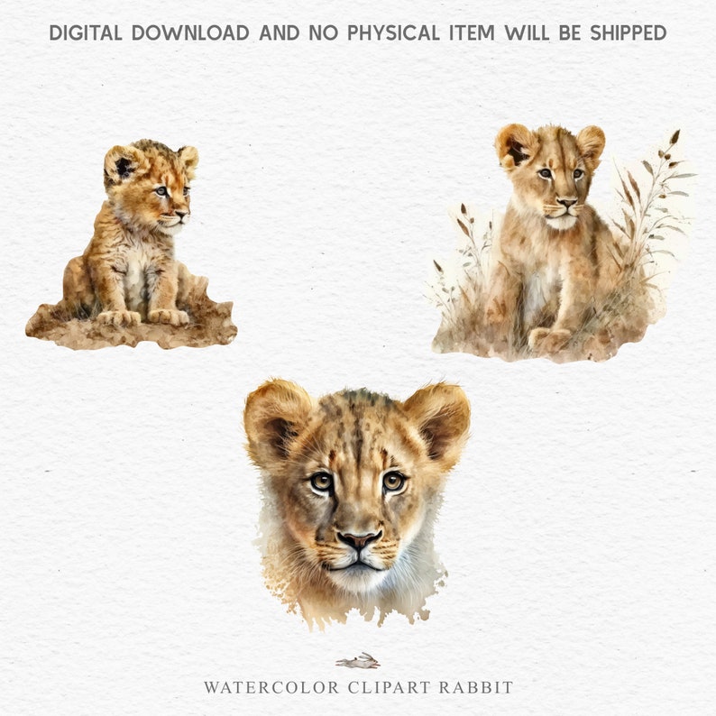 Baby Lion PNG Clipart African Safari Animals Jungle - Etsy