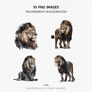 African Lion PNG Clipart | Safari Animals | Jungle Nursery Wall Art ...