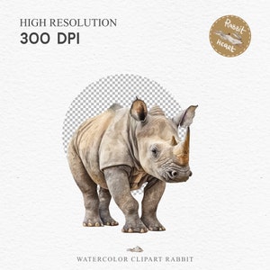 Cute African Baby White Rhinoceros PNG Clipart | Savanna Safari Animals ...