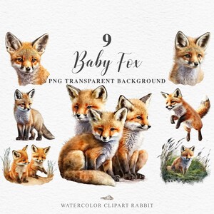 Baby Fox PNG Clipart Cute Forest Animals Floral Nursery Wall Art Cute ...