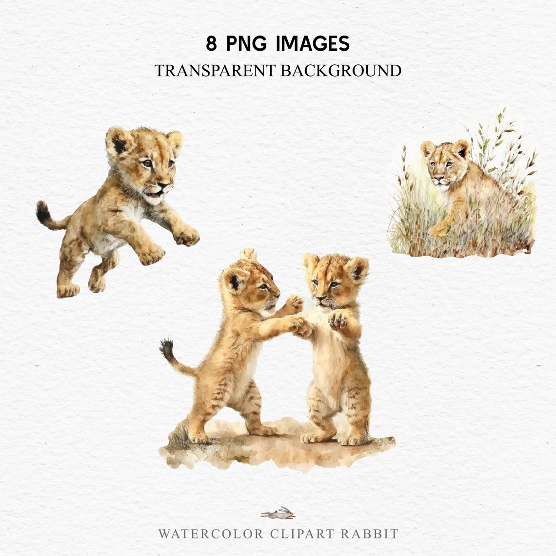 Baby Lion PNG Clipart African Safari Animals Jungle - Etsy