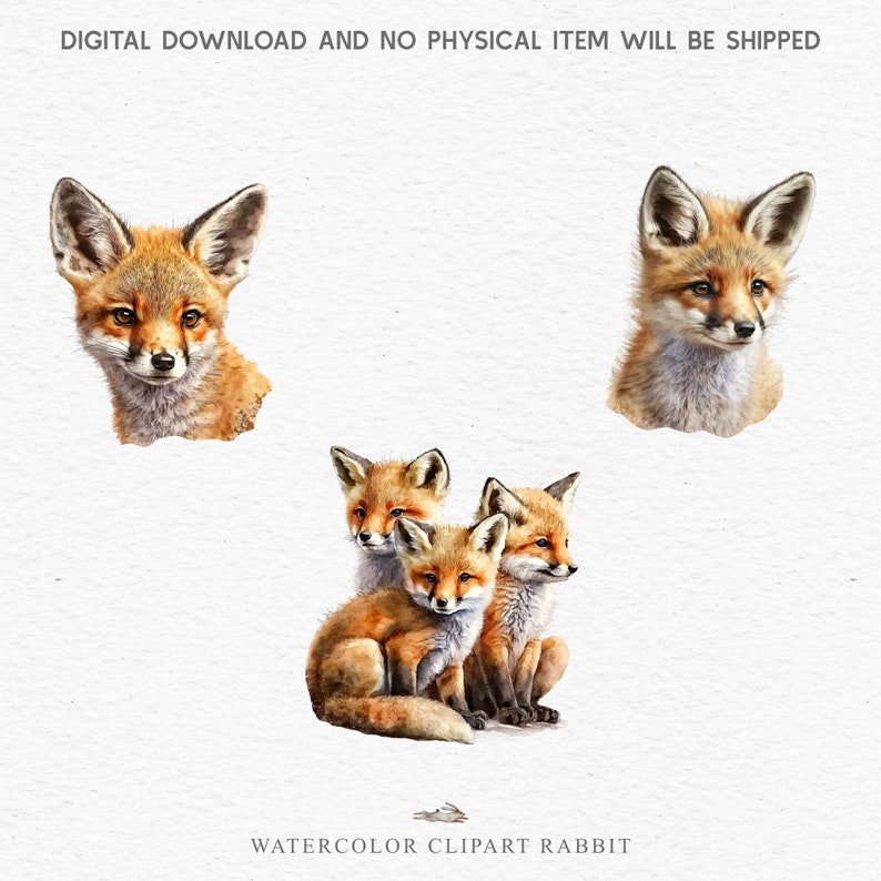 Baby Fox PNG Clipart Cute Forest Animals Floral Nursery - Etsy