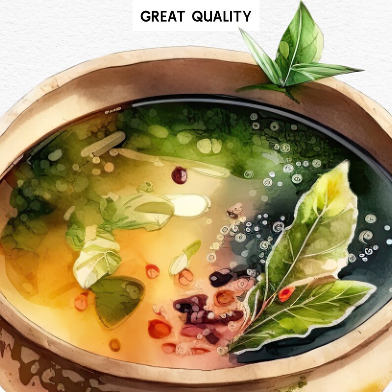 Watercolor Miso Soup Ramen Bowl PNG Korean Food Clipart - Etsy