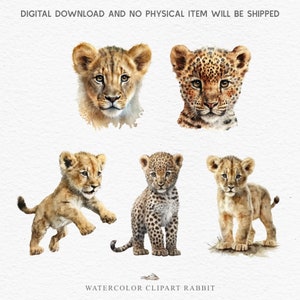 Safari Baby Animals PNG Clipart Savanna Jungle African Lion, Giraffe ...