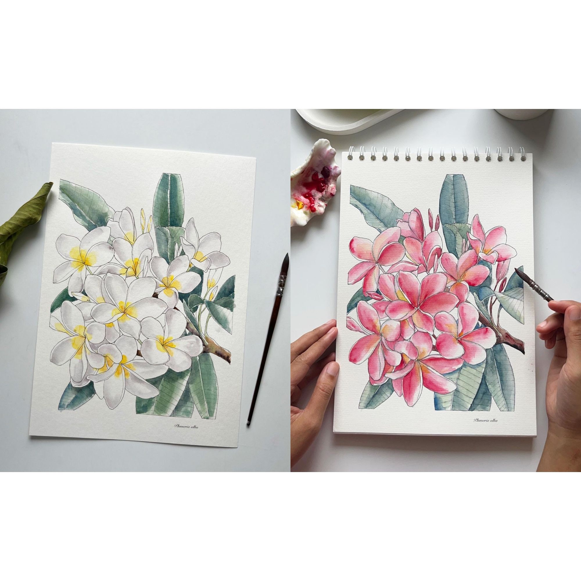 Frangipani Flower Coloring Page - Printable Watercolor Coloring Page ...