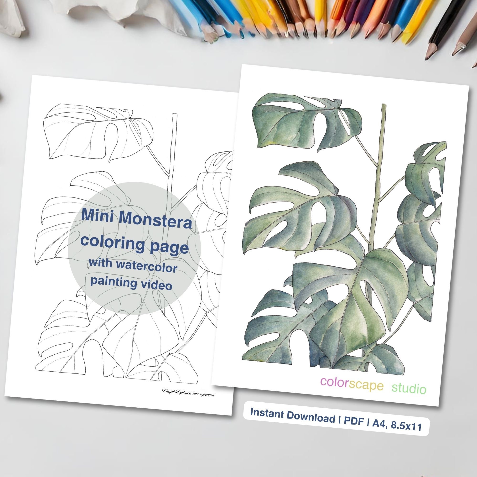 Mini Monstera Coloring Page - Printable Watercolor Leaf Coloring Page ...
