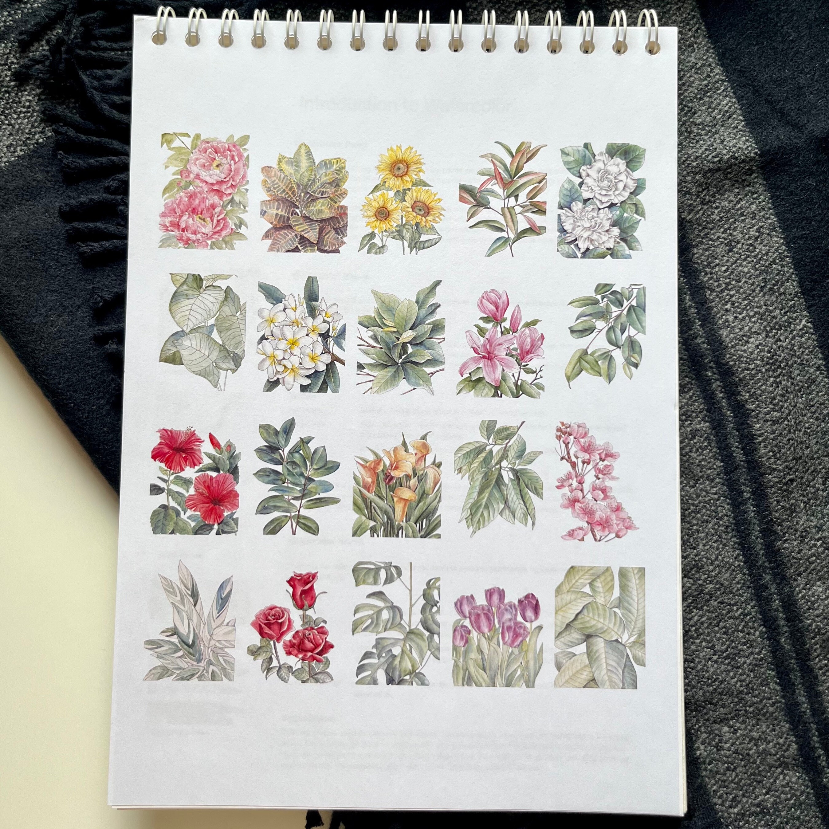 Watercolor Coloring Book Plant Series Coloring Book - Etsy