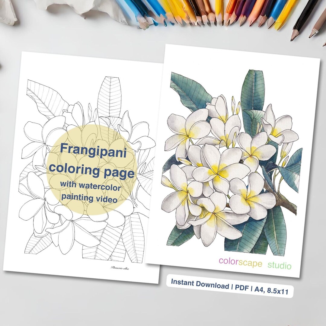 Frangipani Flower Coloring Page - Printable Watercolor Coloring Page ...