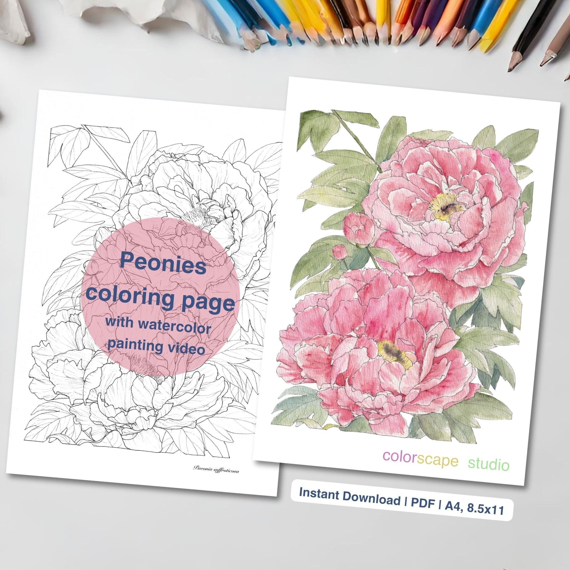 Peonies Coloring Page - Printable Watercolor Coloring Page for Adults ...