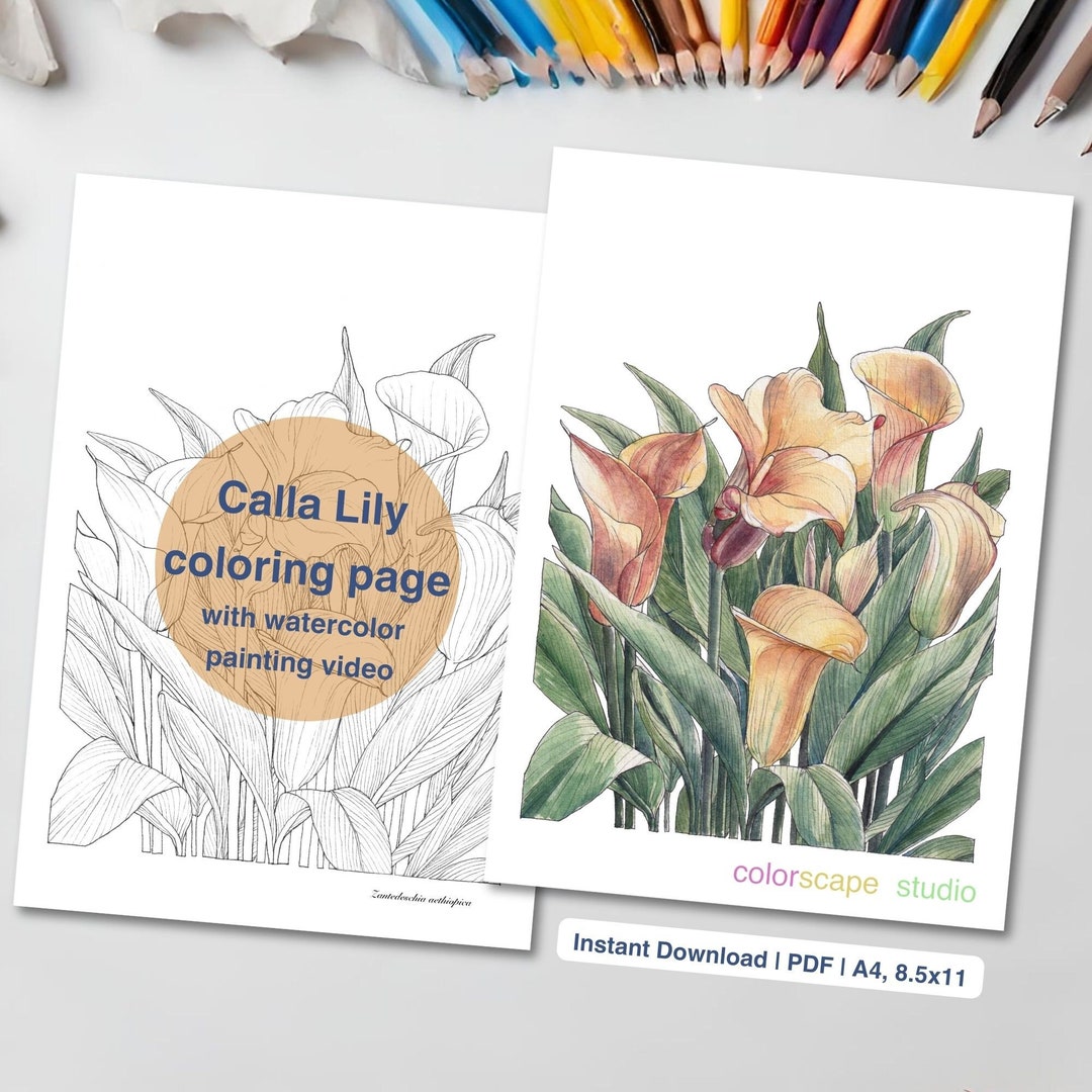 Calla Lily Flower Coloring Page - Printable Watercolor Coloring Page ...