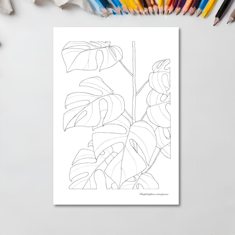 Mini Monstera Coloring Page - Printable Watercolor Leaf Coloring Page ...