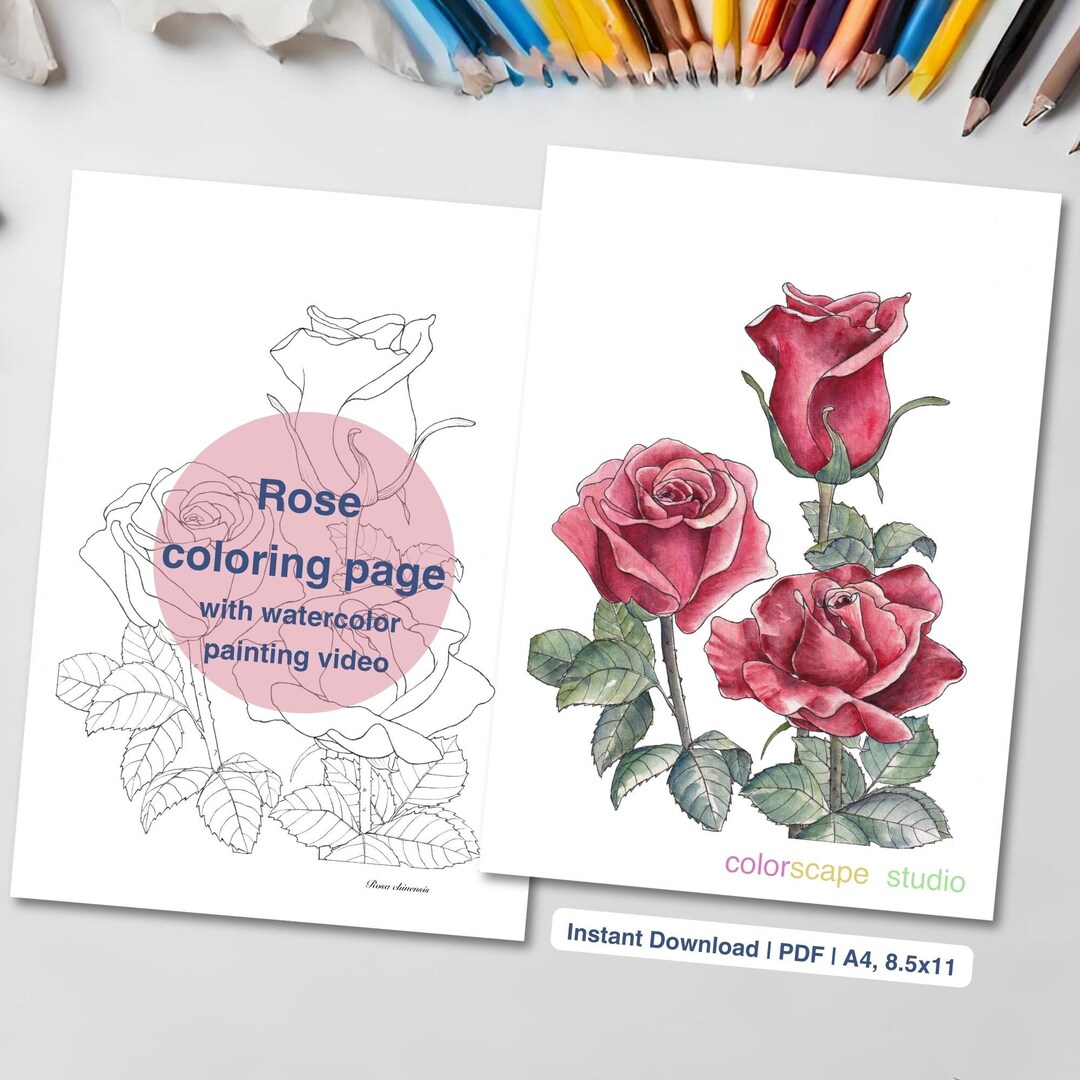 Rose Coloring Page - Printable Watercolor Flower Coloring Page for ...