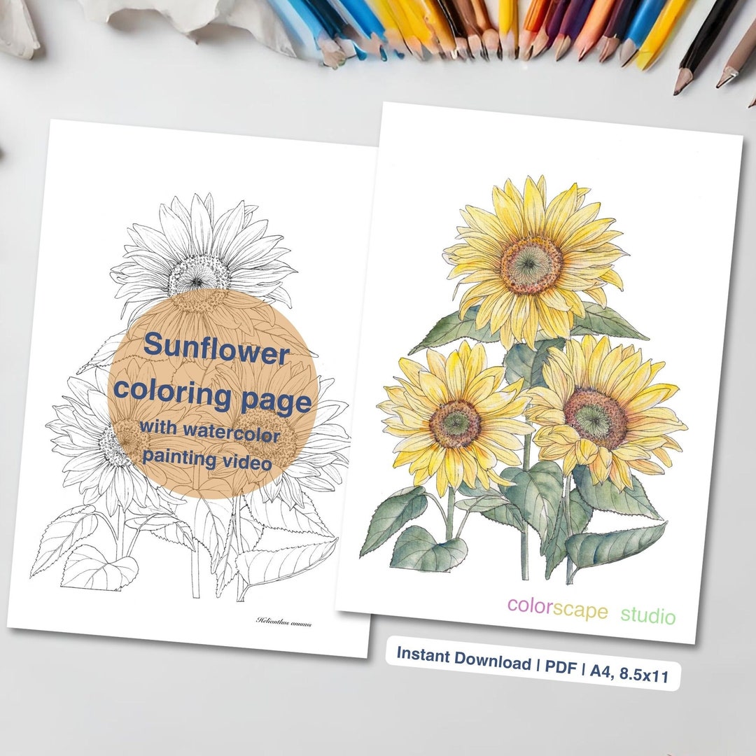 Sunflower Coloring Page - Printable Watercolor Coloring Page for Adults ...