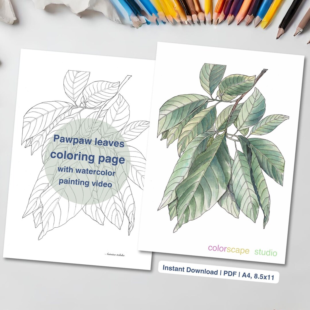 Tropical Leaf Coloring Page - Printable Watercolor Coloring Page for ...