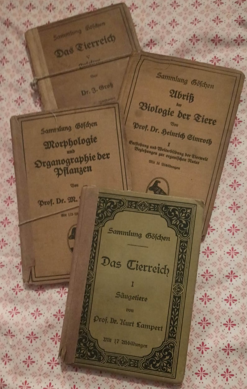 Vintage Foreign Book Pages - Etsy