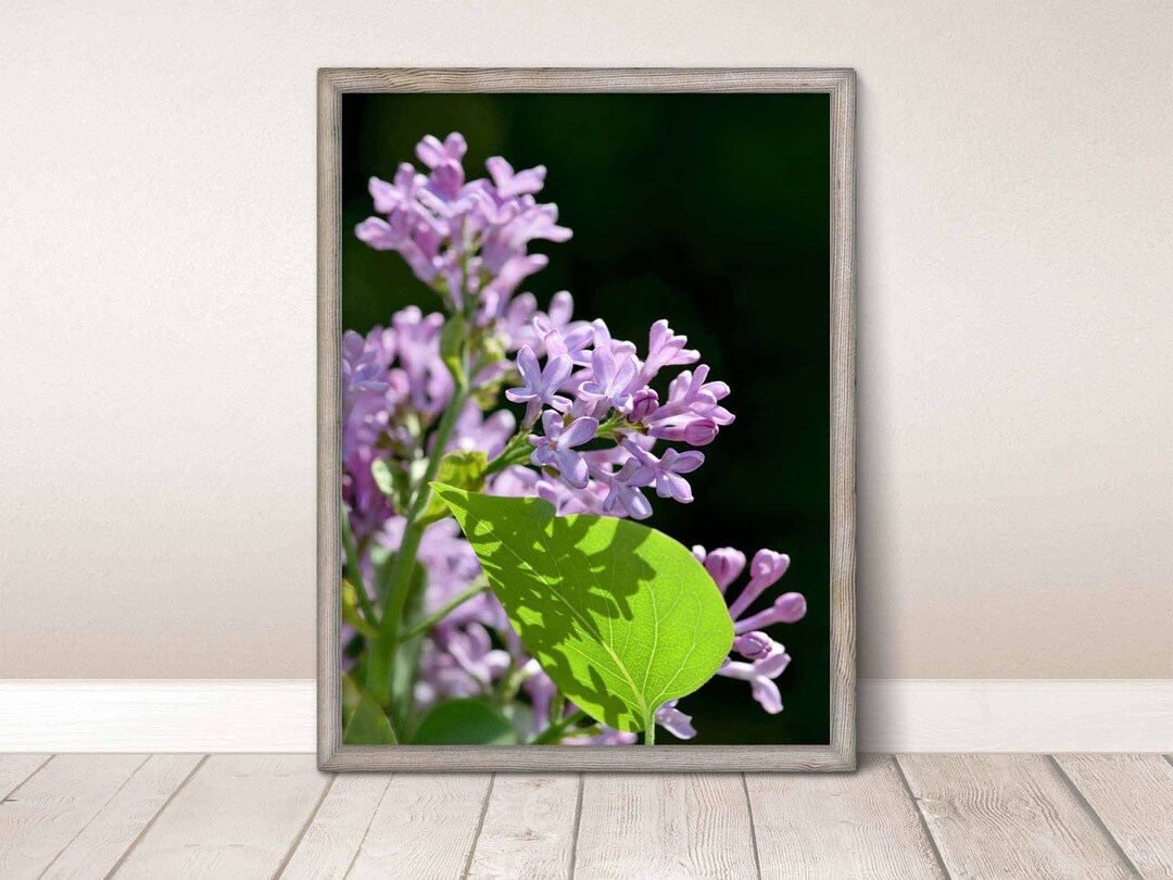 Lilacs Flowers Modern Printable Wall Art, Home Office Interior Wall ...