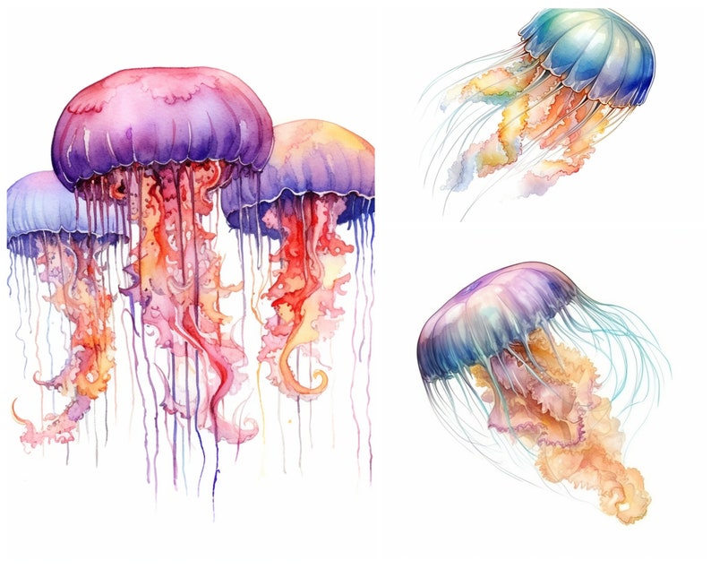 Jellyfish Clipart, Digital Art, Sealife Clip Art Print Graphic Design ...