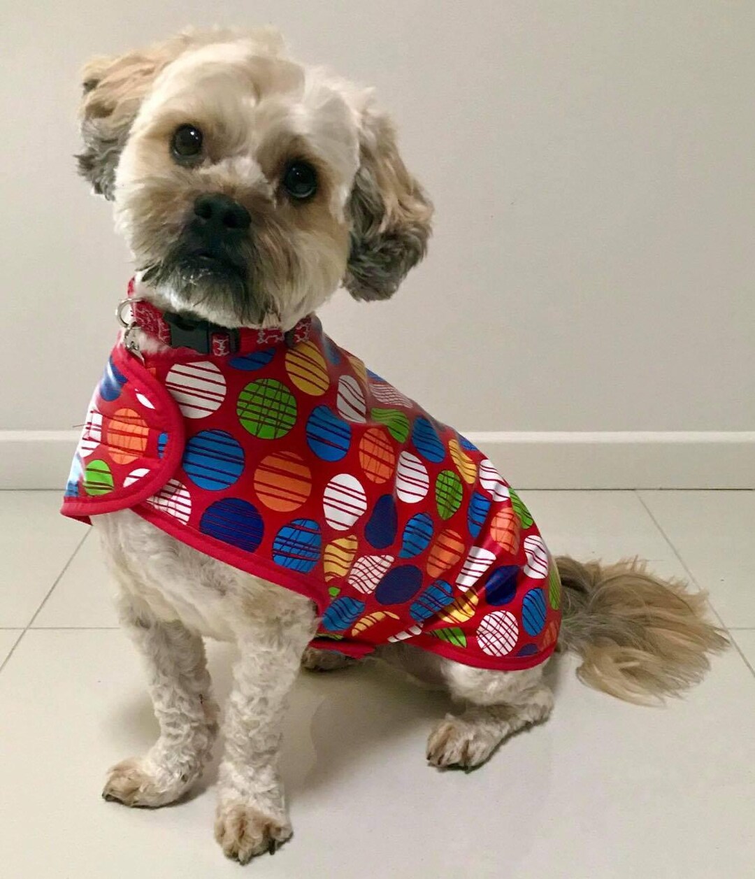 Polka Dot Dog Coat - PUL Waterproof Raincoat - Jacket Jumper - Small ...