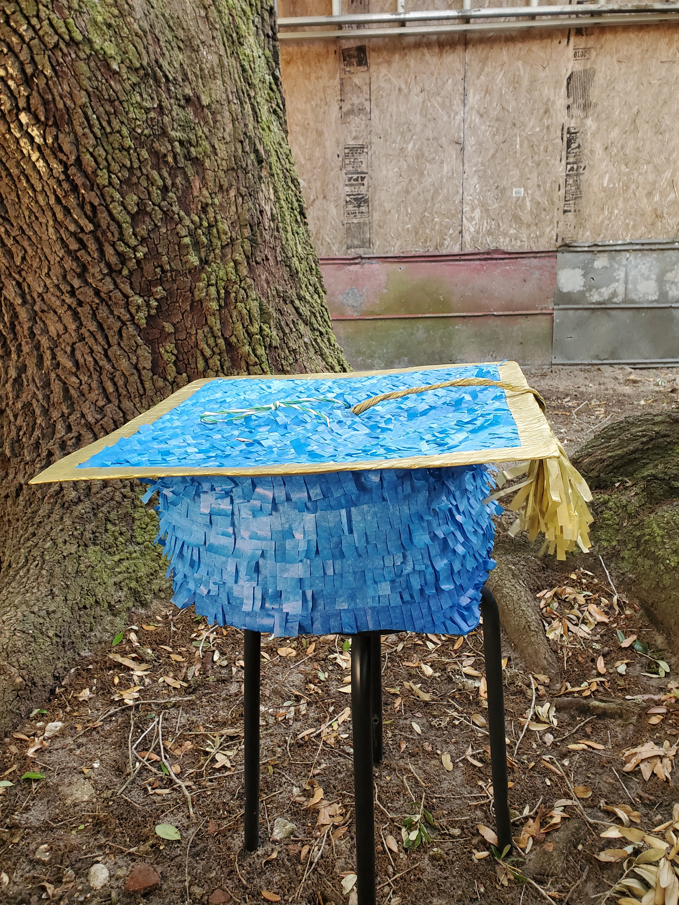 Graduation Cap Piñata - Etsy