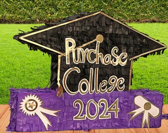 Graduation Cap Piñata - Etsy