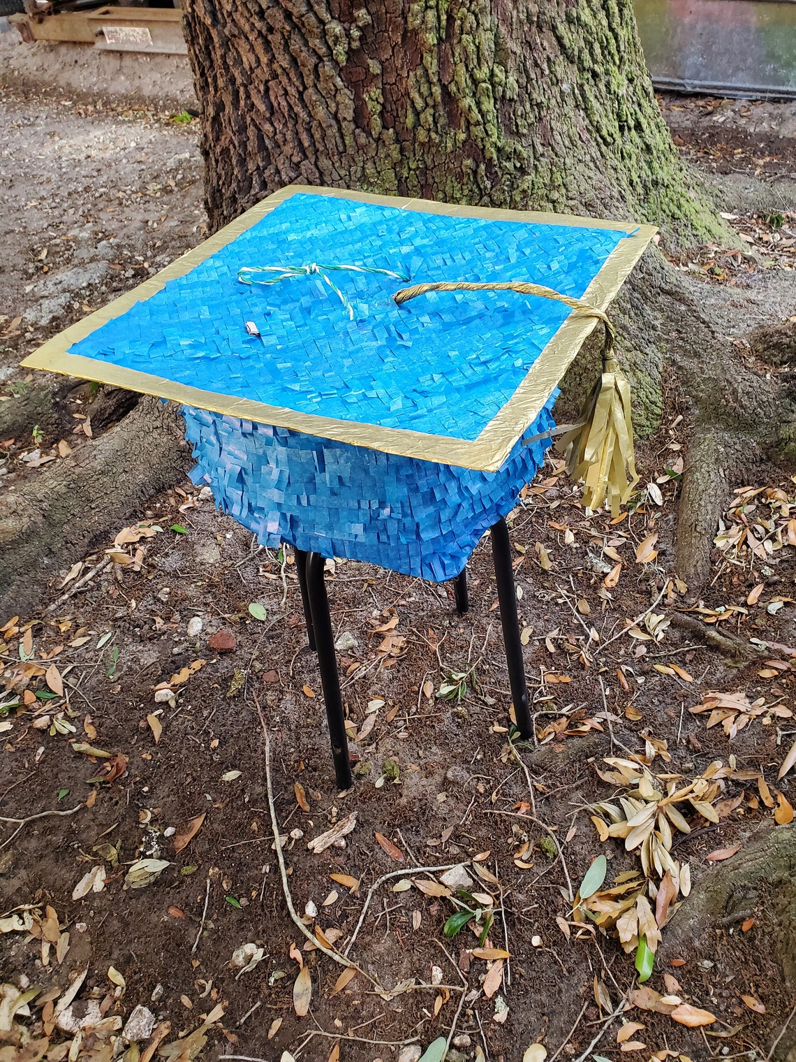 Graduation Cap Piñata - Etsy