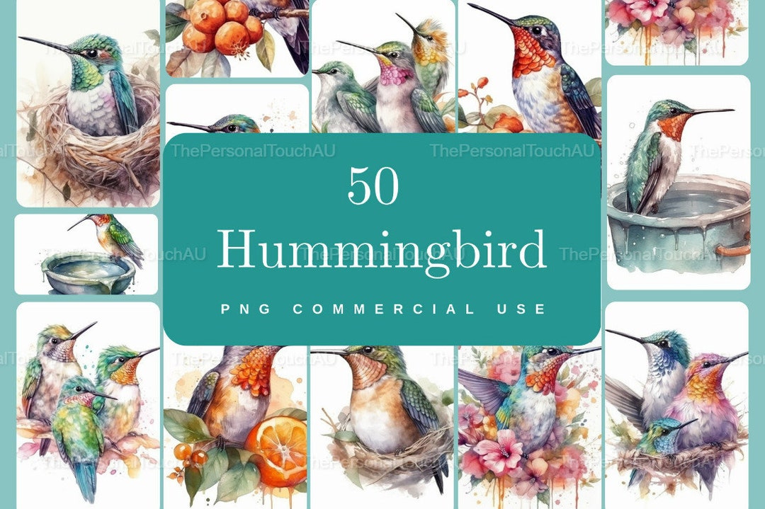 Mega Hummingbird PNG Bundle 50 High Quality Hummingbird - Etsy Australia
