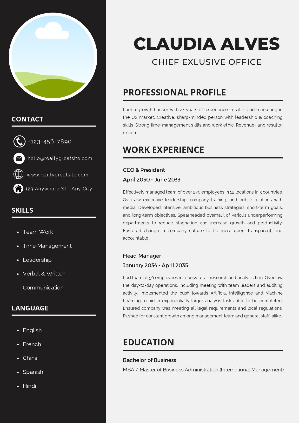 Chief Exclusive Office Resume Template - Etsy