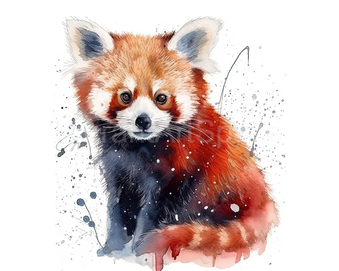 Watercolor Red Panda Digital Wall Art in Bright Colors Red Panda ...