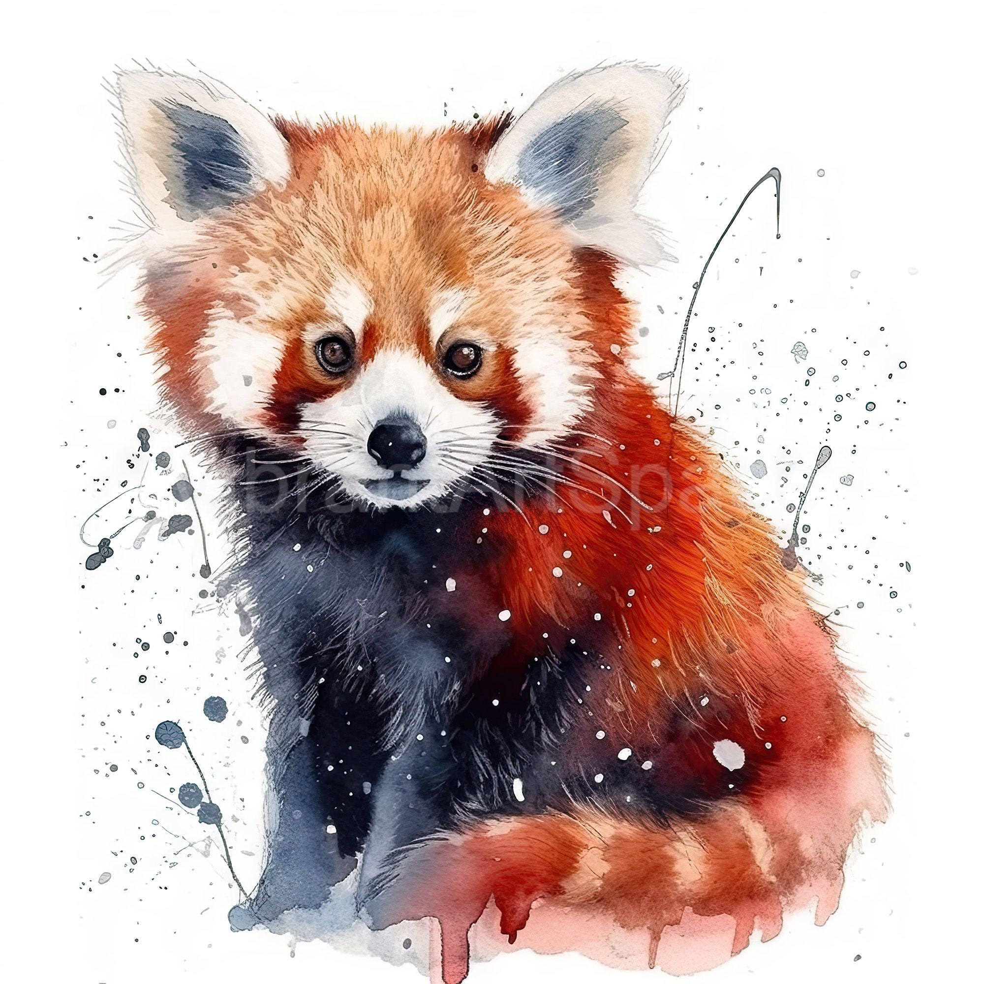 Watercolor Red Panda Digital Wall Art in Bright Colors Red Panda ...