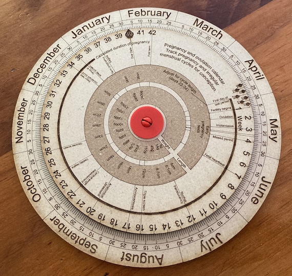 Menstruation And Ovulation Calendar