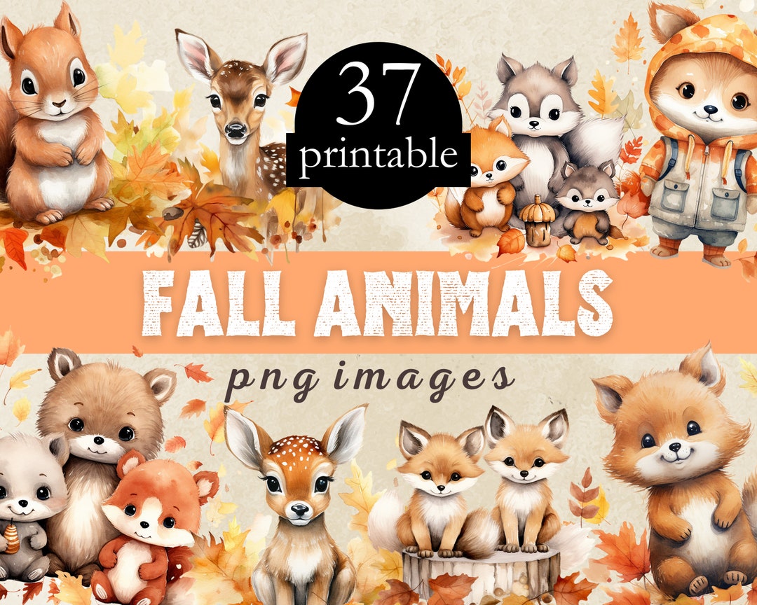 Watercolor Fall Animal Clipart Bundle Cute Digital Baby Animal - Etsy