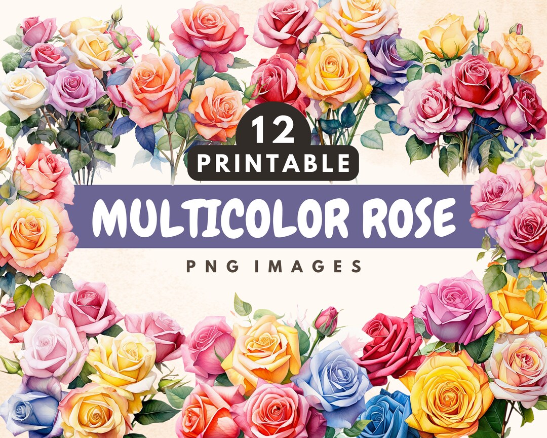 Watercolor Rose Clipart Printable Transparent Digital Pngs - Etsy