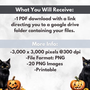 Watercolor Black Cat Clipart, Cute Halloween Printable PNG Images for ...