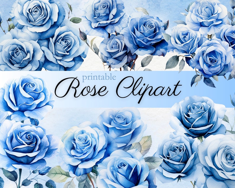 Blue Watercolor Rose Clipart Printable Transparent Digital - Etsy