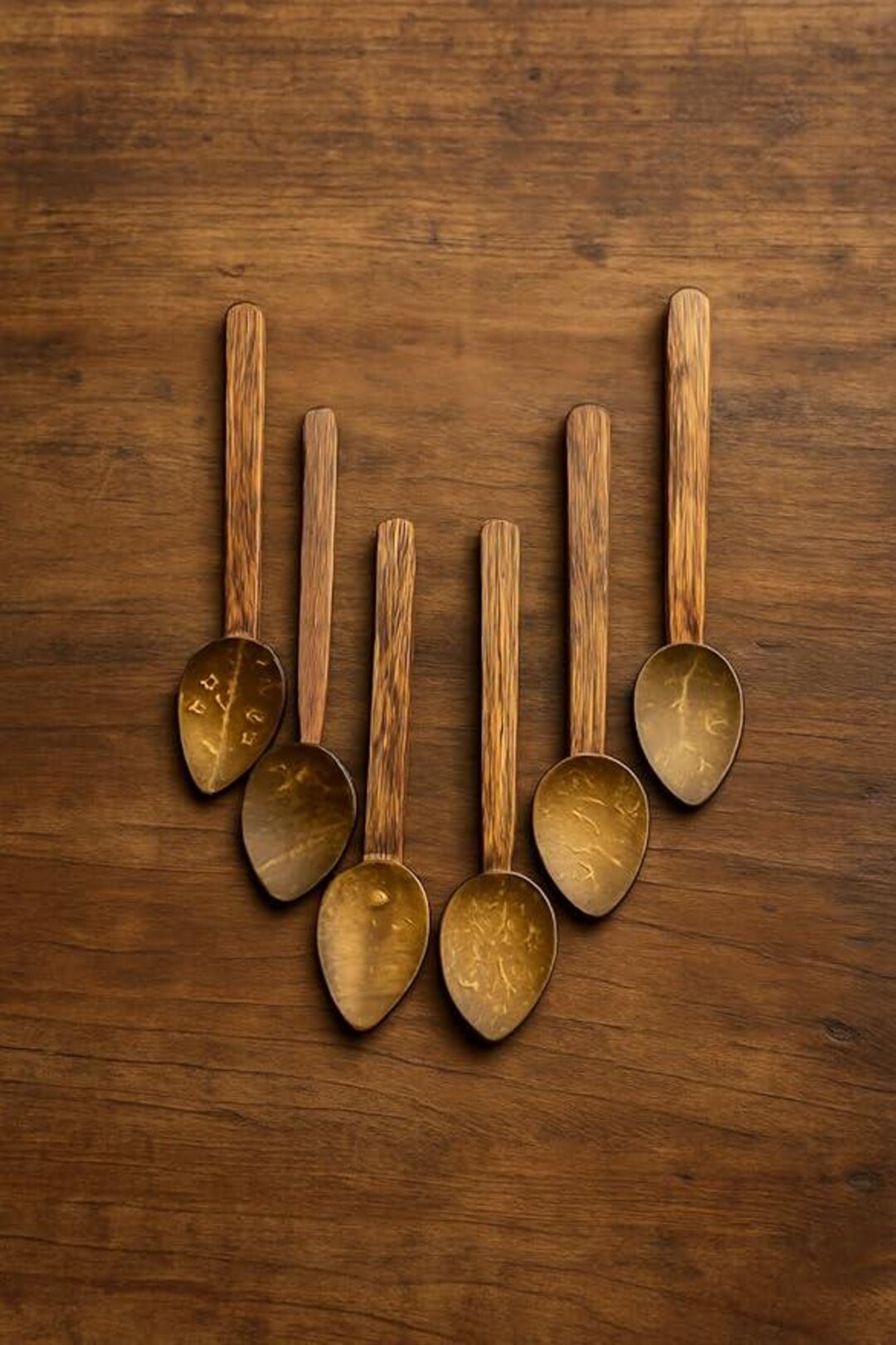 Handcrafted Coconut Shell Spice Spoons, Set of 6, Traditional Masala ...