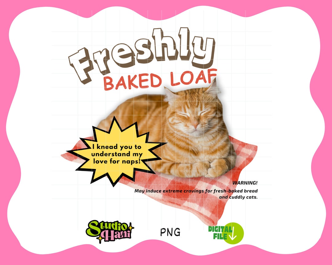 Freshly Baked Loaf Cat Y2K PNG Comfy Kitten Lover Pet Lovers Blanket ...