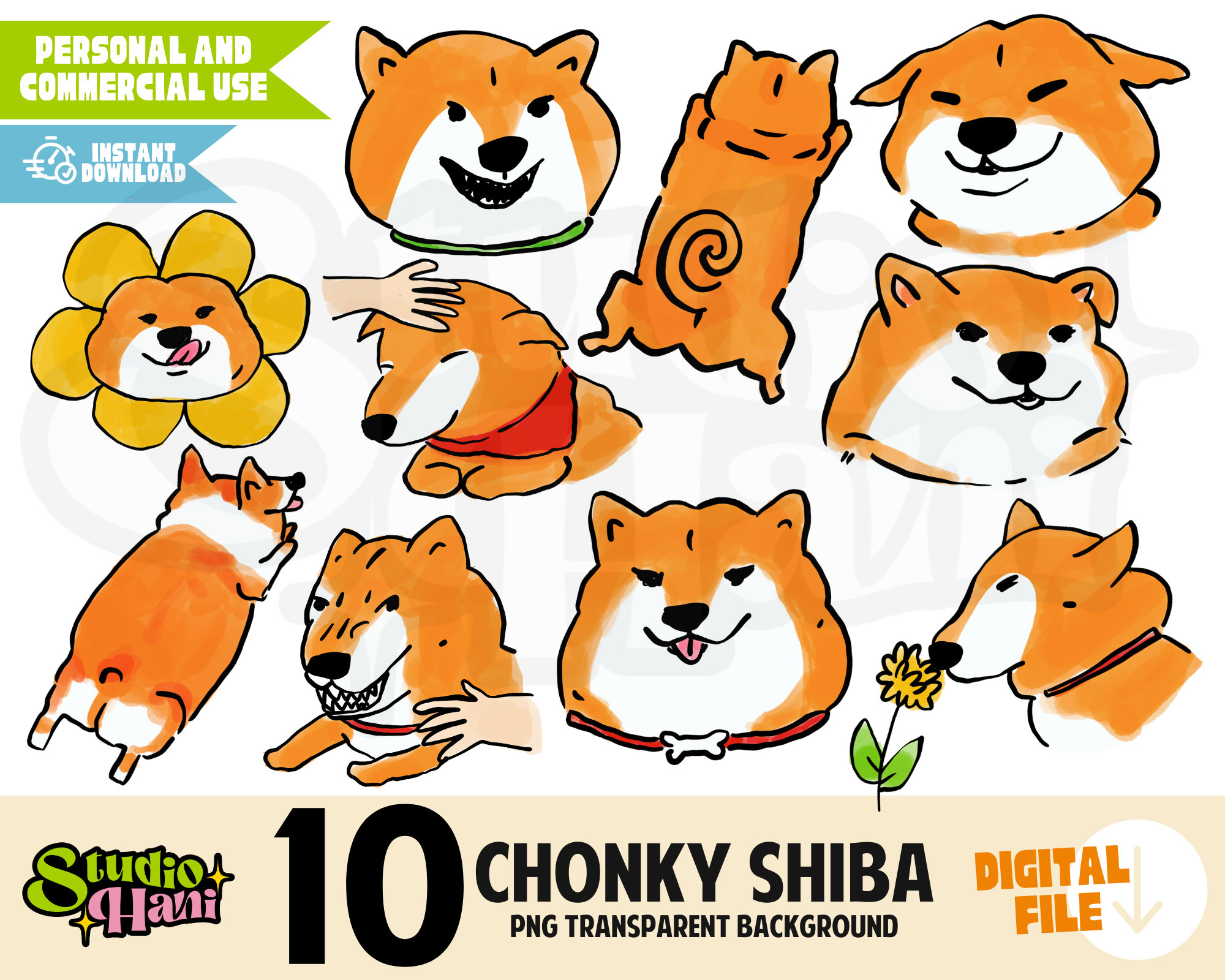 Shiba PNG Transparent Background Chonky Sassy Funny Shiba Inu Dog Lover ...