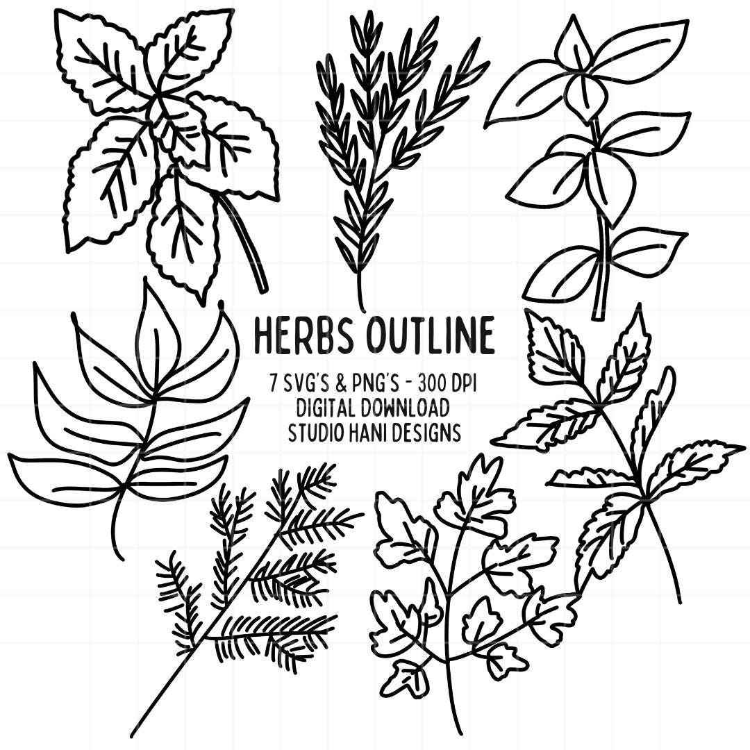 Herbs SVG PNG Bundle Doodle Black and White Outline Rosemary Mint Basil ...