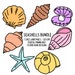 Seashells PNG Bundle Doodle Pearl Starfish Clam Summer Sea Ocean ...