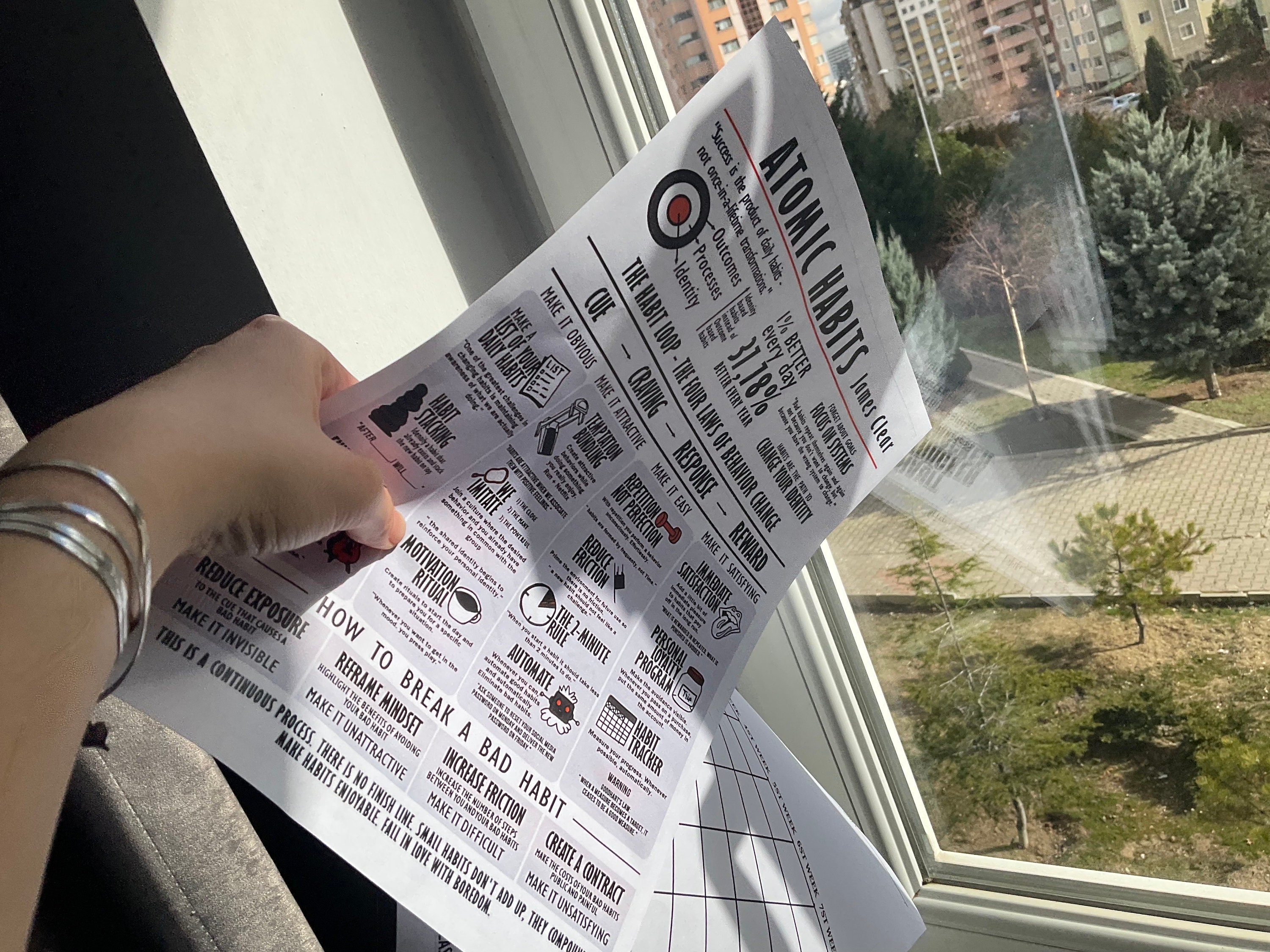 Atomic Habits Visual Book A4 PDF PNG Printable - Etsy