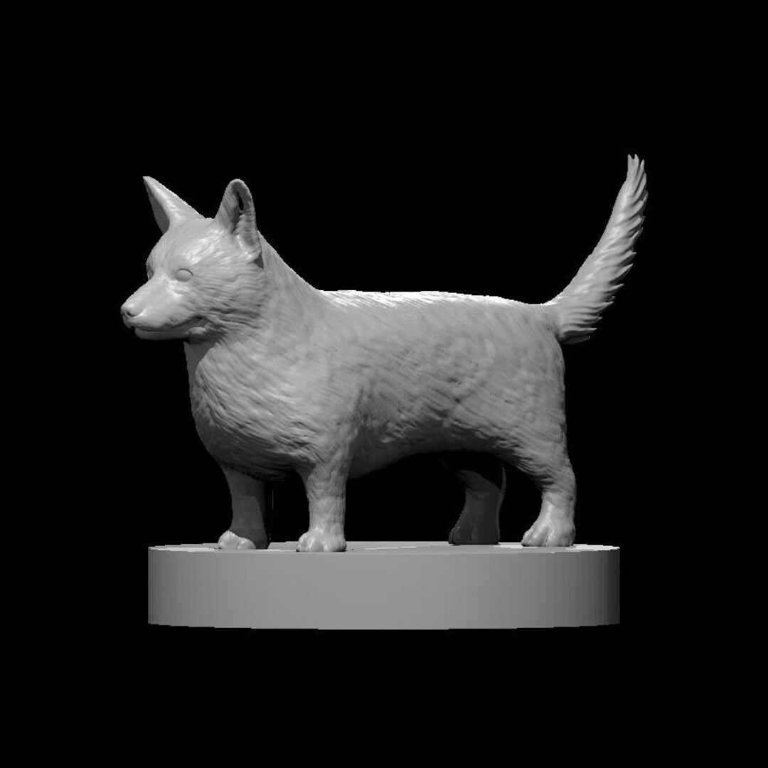 Two Corgi Resin Miniatures: Unique Tabletop RPG Companion, Fantasy Game ...