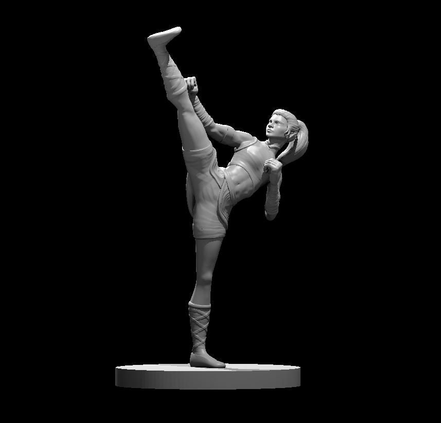 Half Elf Female Monk Dnd 3d Printed Miniature 8k High Detail Etsy