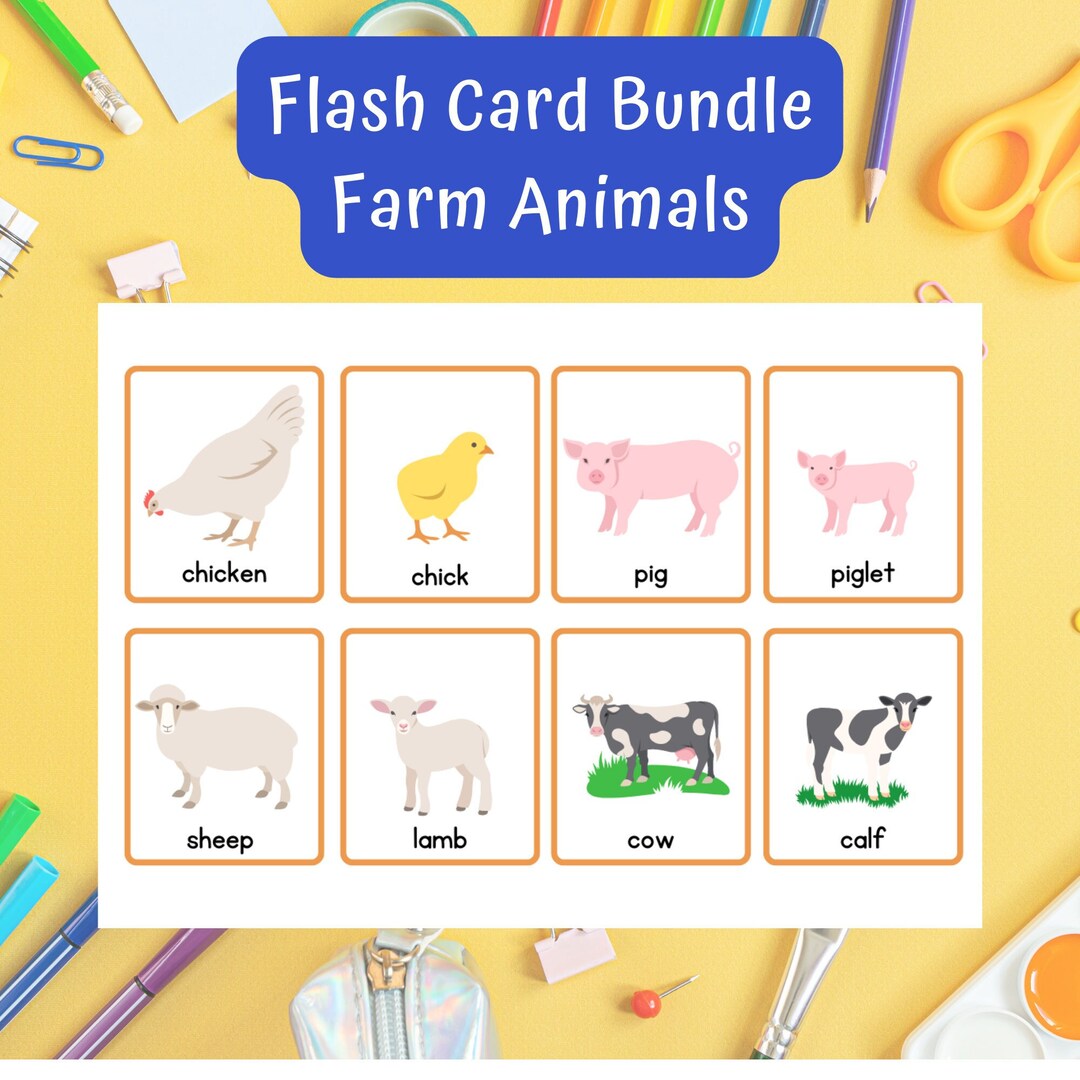 Flash Cards Sensory Play Match up Games Learn Through Play Classroom ...