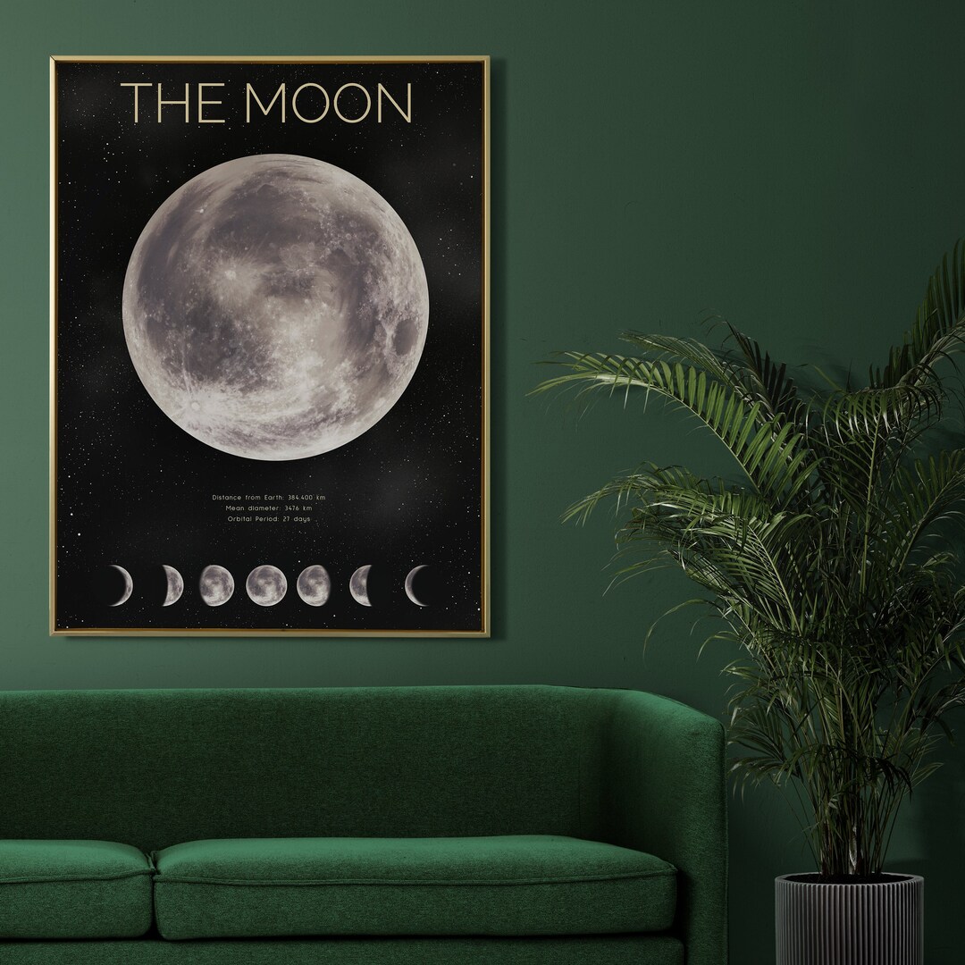 The Moon in Its Phases: A Detailed Poster of the Lunar Cycle - Poster ...