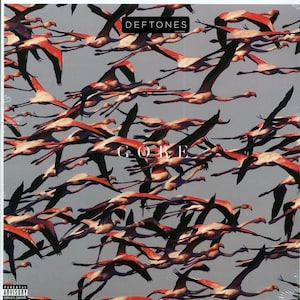 Deftones - Gore / 2xlp Vinyl (reprise) / Rock / Alternative Rock - Etsy