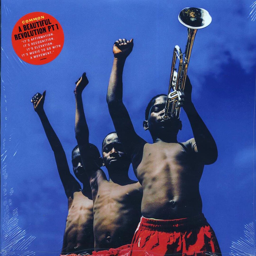Common - A Beautiful Revolution Part 1 / LP Vinyl (loma Vista) Hip Hop ...