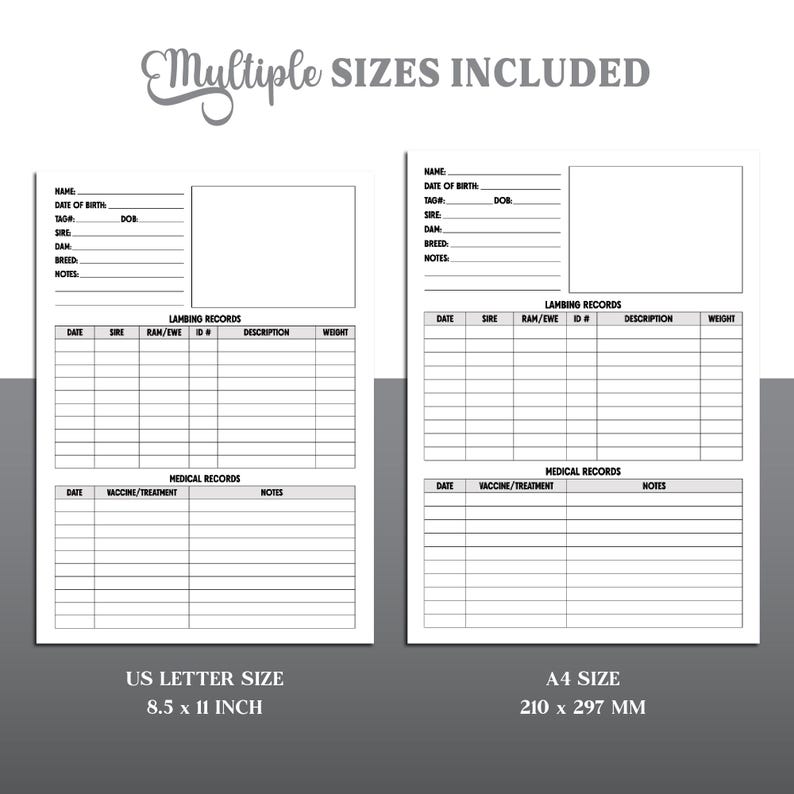 Lamb Herd Record Sheet, Lamb Herd Record Keeping, Farm Management ...