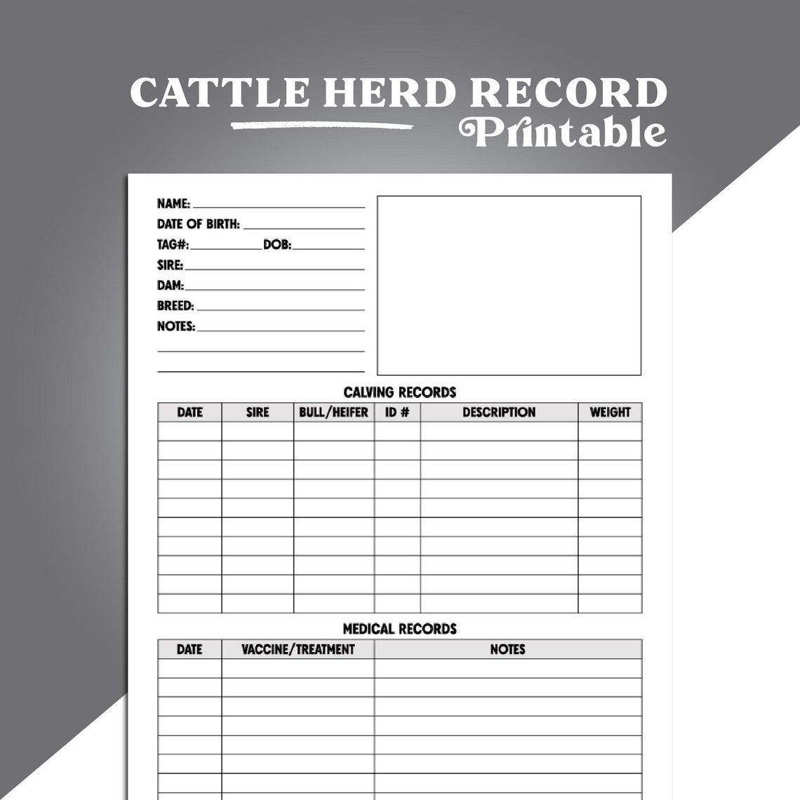 Cattle Herd Record Sheet, Printable Cattle Records Page, Homestead Cattle Care Tracker Sheet ...