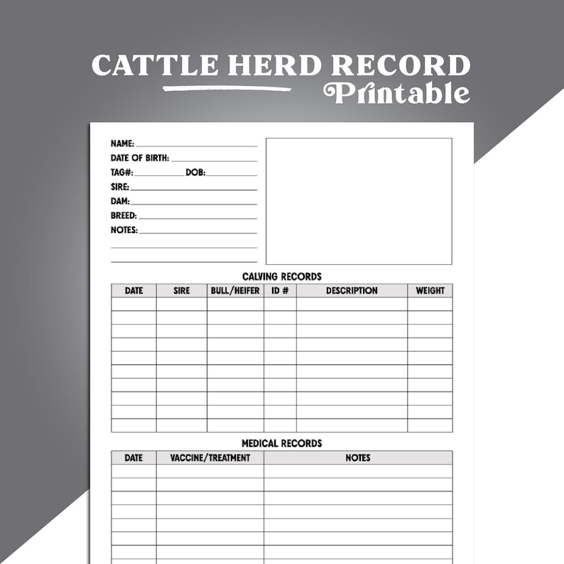 Cattle Herd Record Sheet, Printable Cattle Records Page, Homestead Cattle Care Tracker Sheet ...